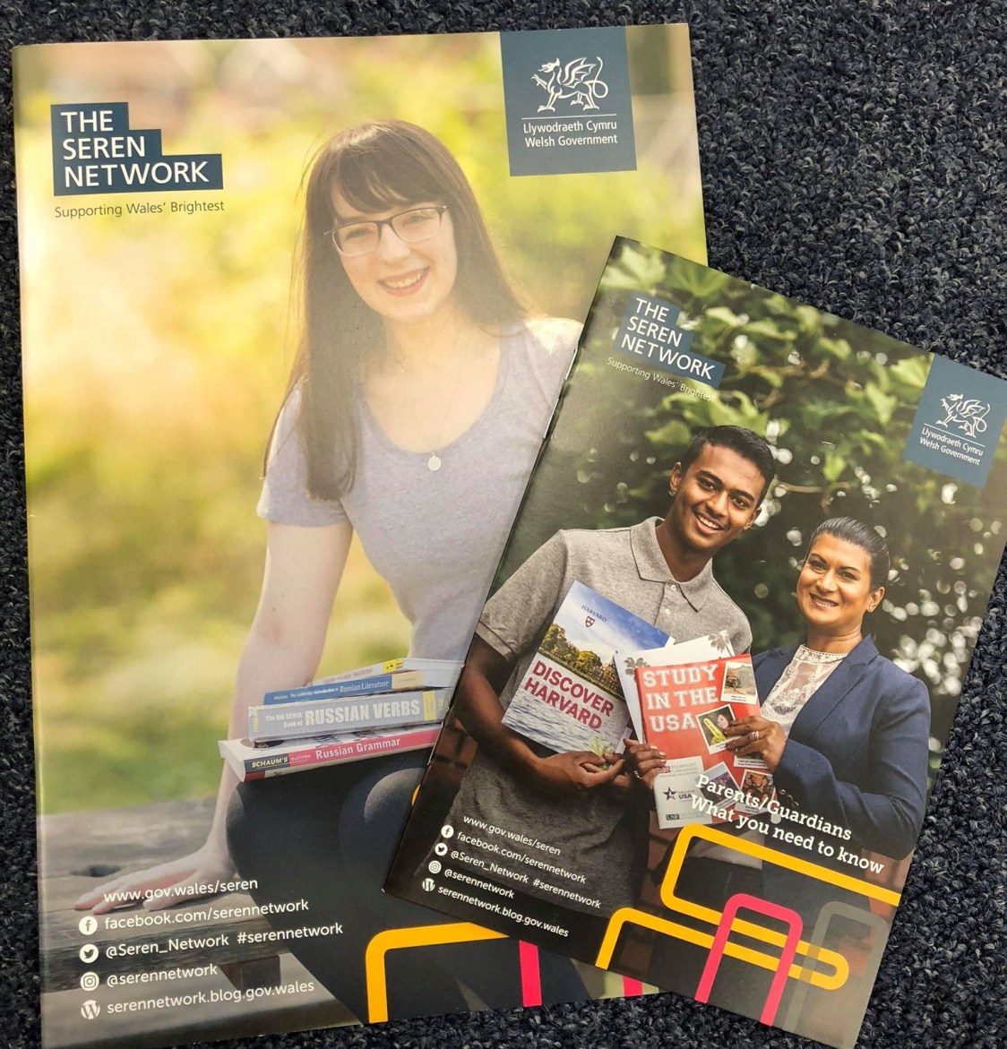 Seren Network Blog | Supporting Wales' Brightest | Page 8